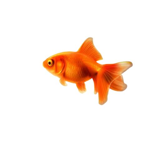 Złota rybka | Genially