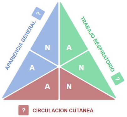 ENyAEC-Valoración | Genially