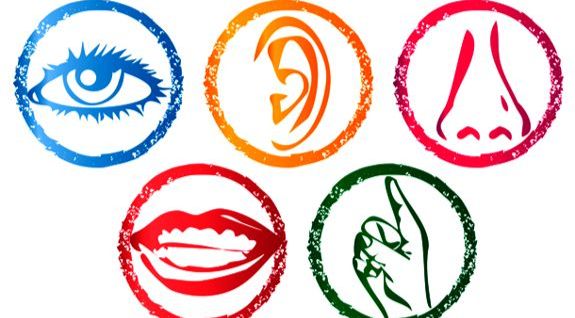 UNITAT 3. ED. FÍSICA