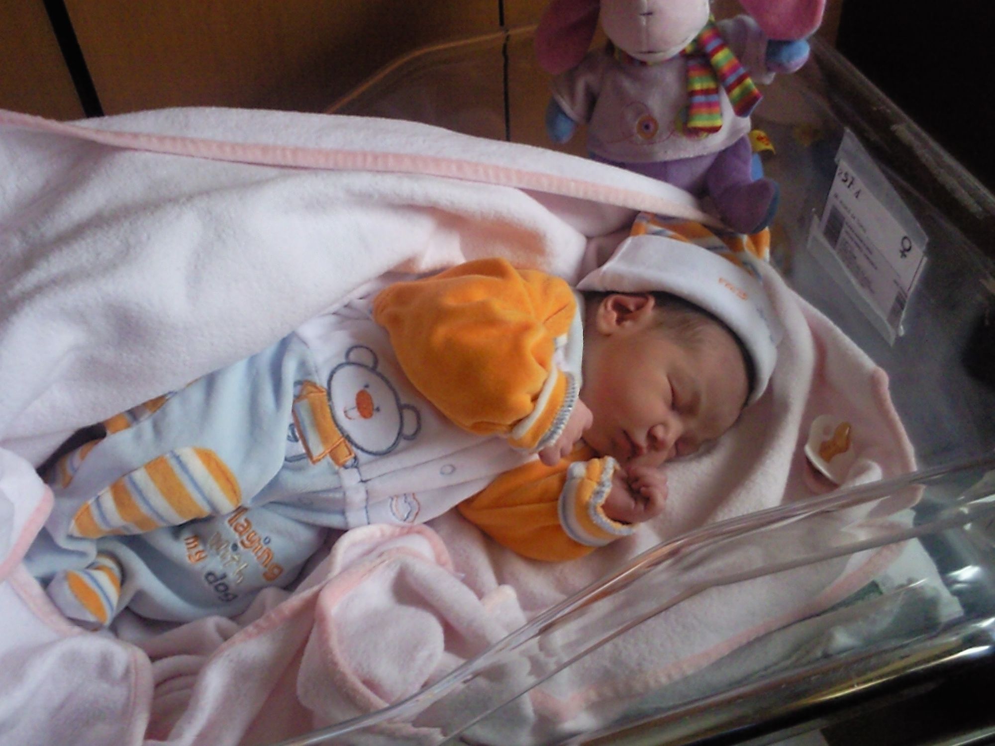 Línea del tiempo Emma