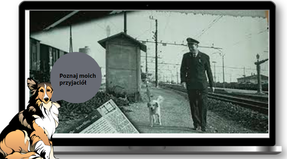 o psie...przyjaciele psa | Genially