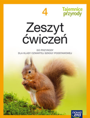 Plan i mapa - kl.IV | Genially