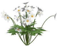 Wiosenne kwiaty | Genially