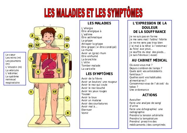 Les parties du corps et le mal classe 2 | Genially