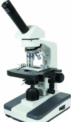 J'apprends à utiliser un microscope | Genially