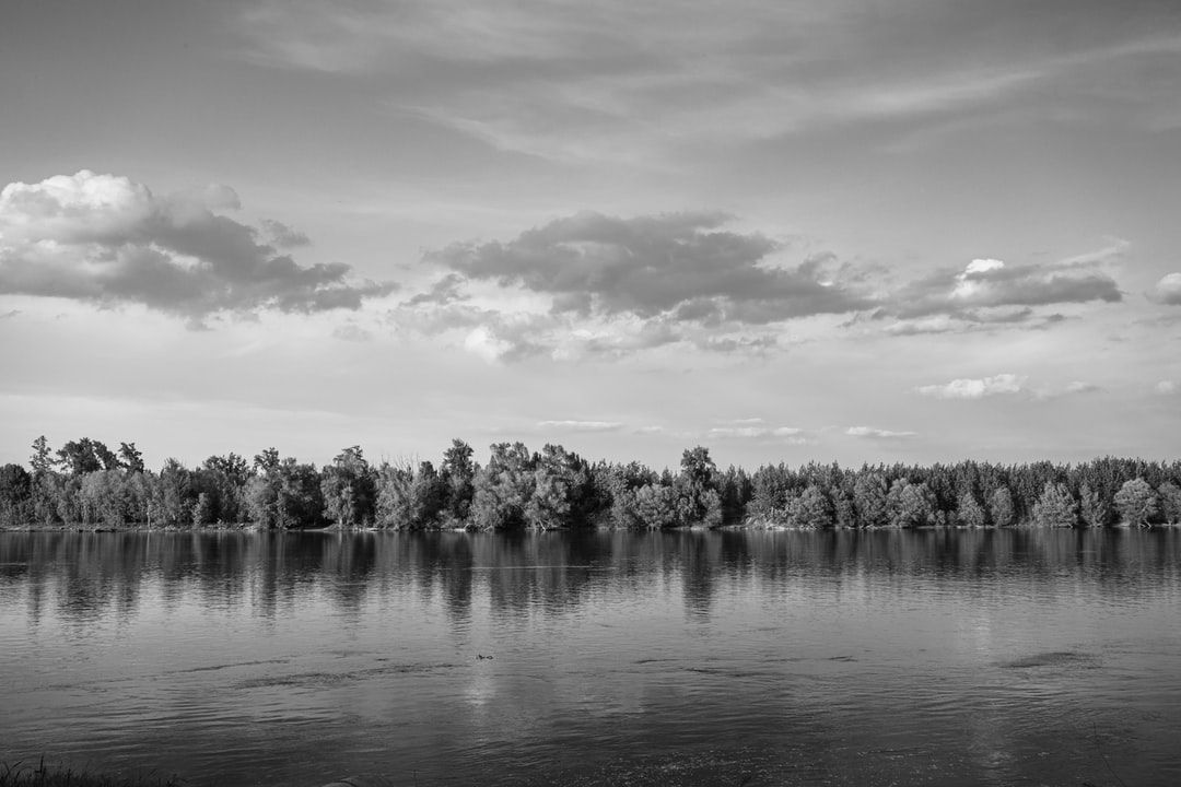 Dan sjećanja_2.D | Genially