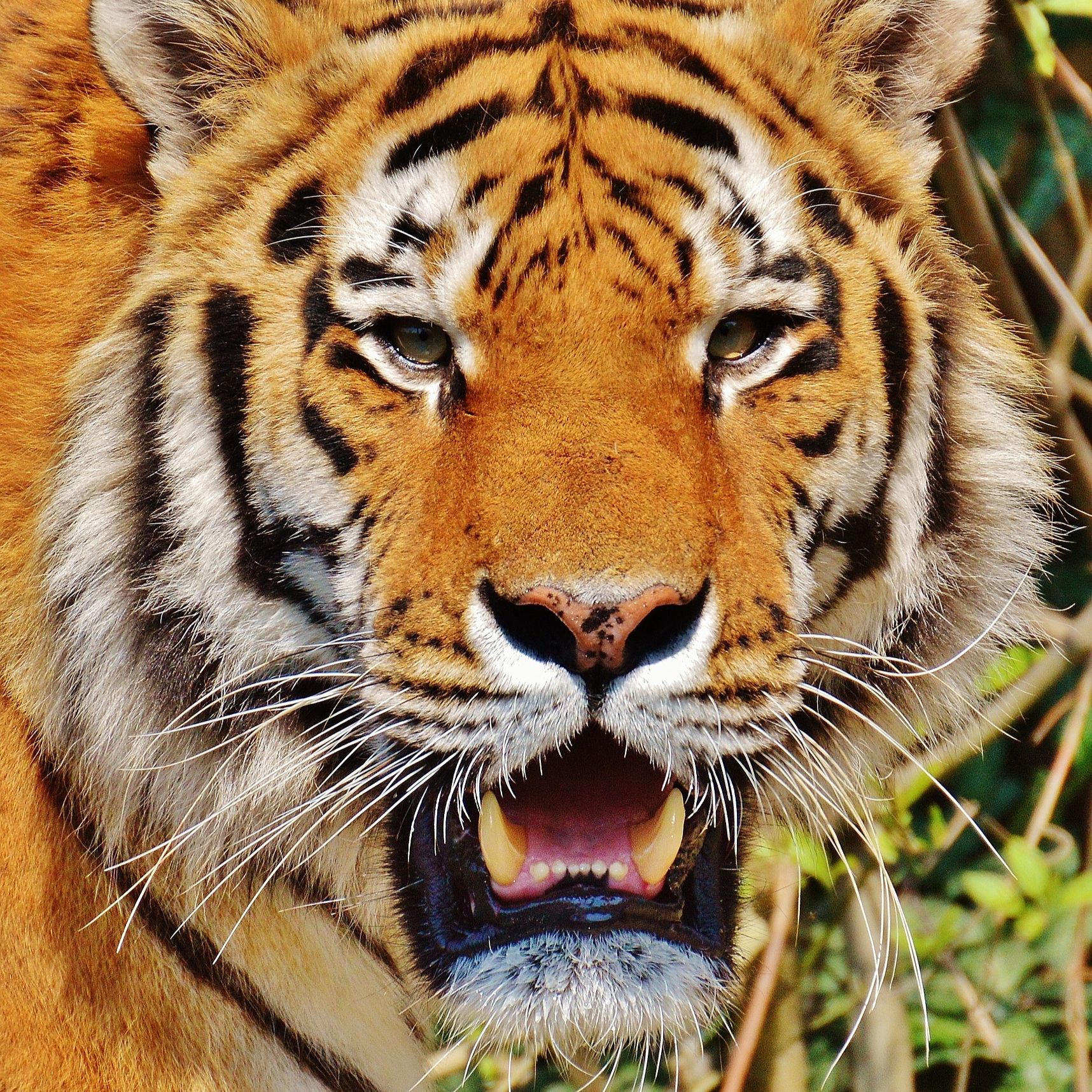 Passive board game | Genially