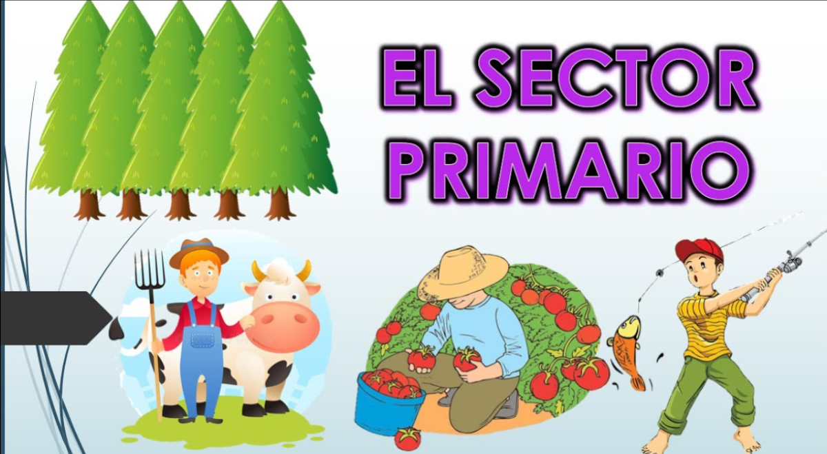 El sector primario | Genially