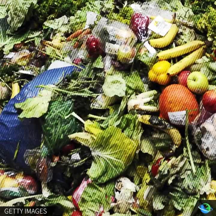 ODD 12 : comment s'adapter en milieu professionnel | Genially