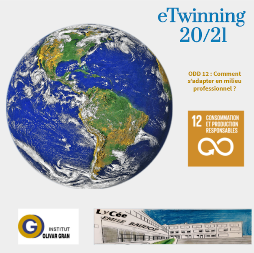 ODD 12 : comment s'adapter en milieu professionnel | Genially