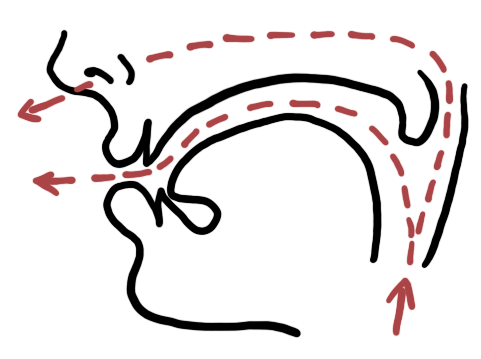 voyelles nasales | Genially