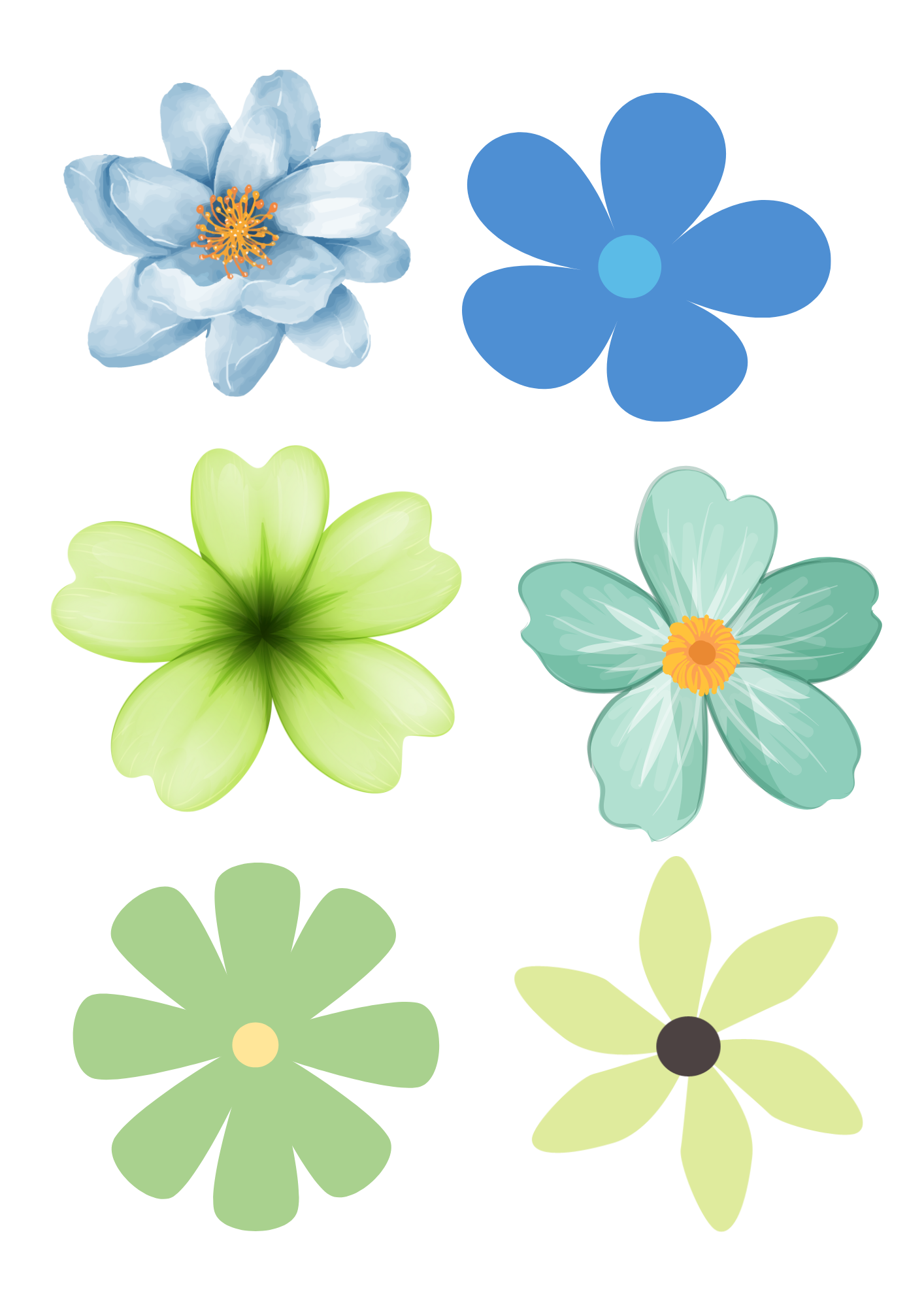 CLASIFICA FLORES | Genially