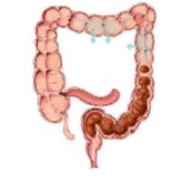 Proceso de digestión | Genially
