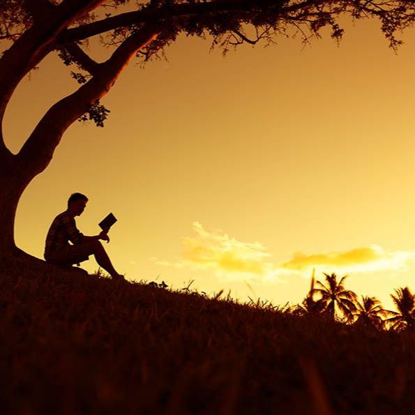 TIMELINE AMERICAN LITERATURE | Genially