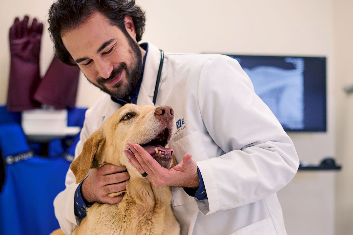 He's a vet