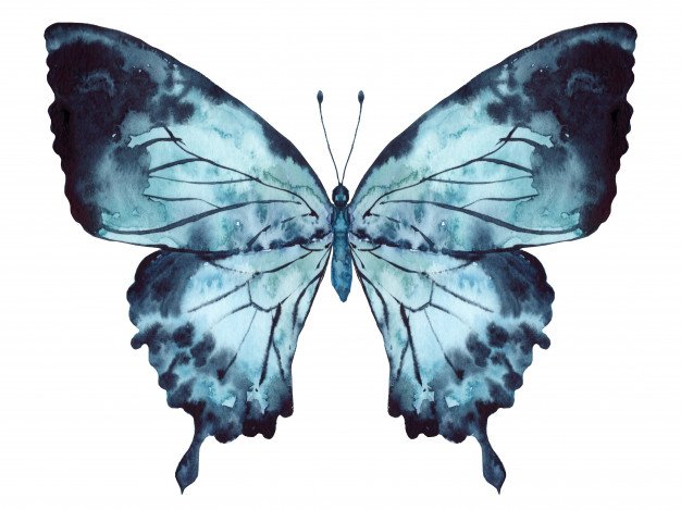 CANVAS BREAKOUT | Genially