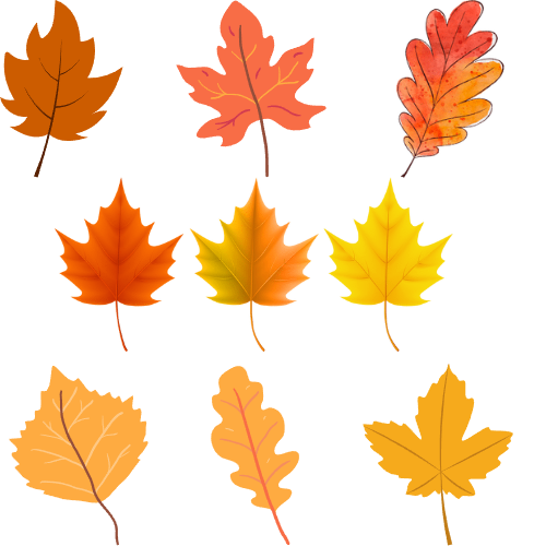 Progression 3ème | Genially