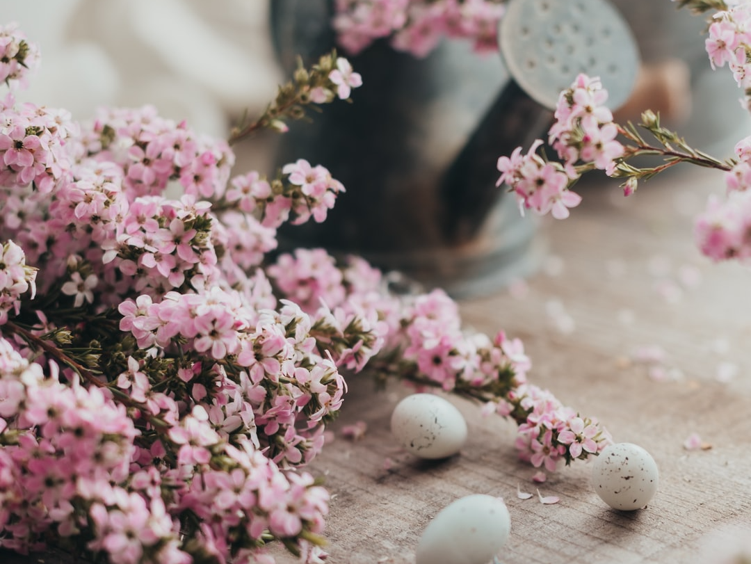 Ortografia, kl. 7 | Genially