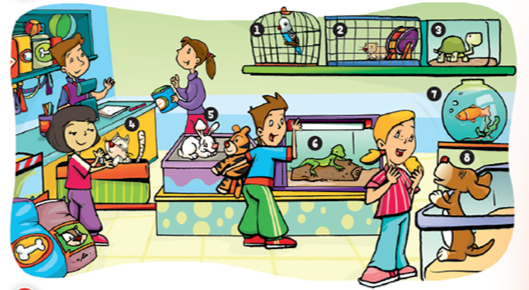 Tiger 2 UNIT 2 A new Pet | Genially