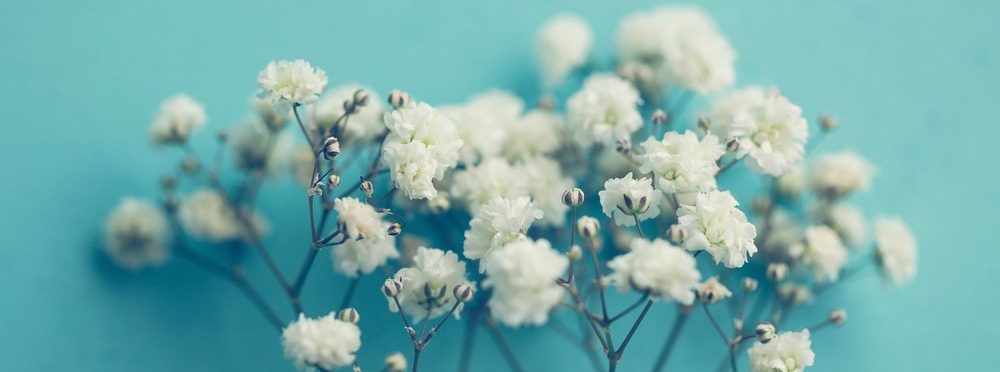 LAURA RAMOS VELASCO | Genially