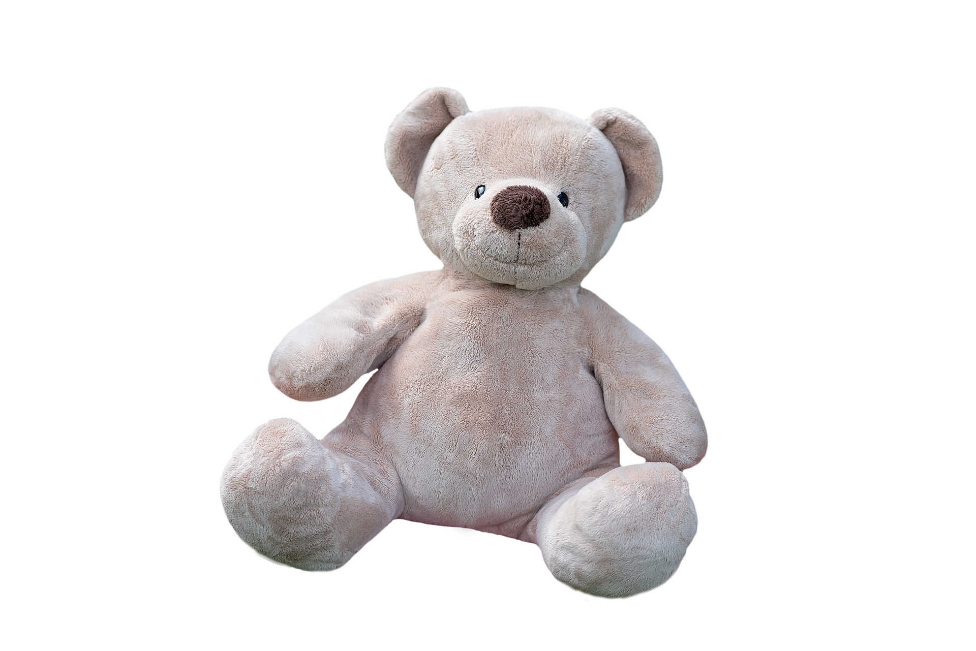 Teddy bear day 1 | Genially