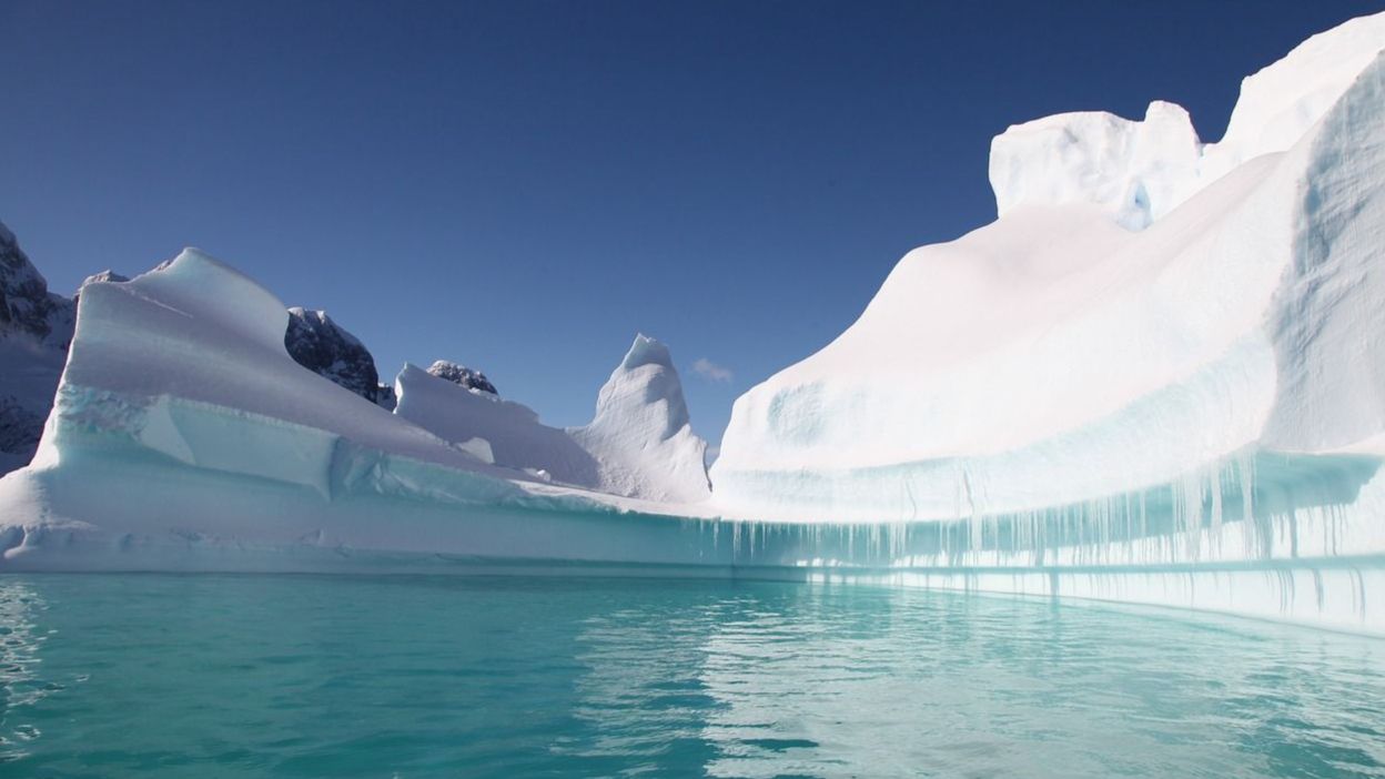 Polarni san, Davor Rostuhar | Genially