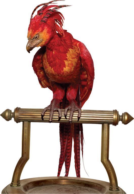 FANTASTIC BEASTS | Genially