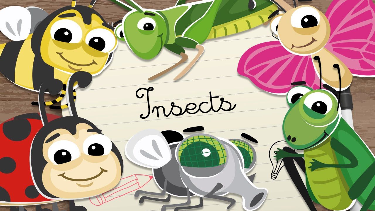Bugs. Kindergarten | Genially