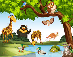The park - animals (1) - 2nd grade | Genially