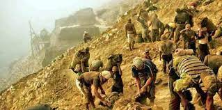 Ciclo de la producción de guano en el Perú