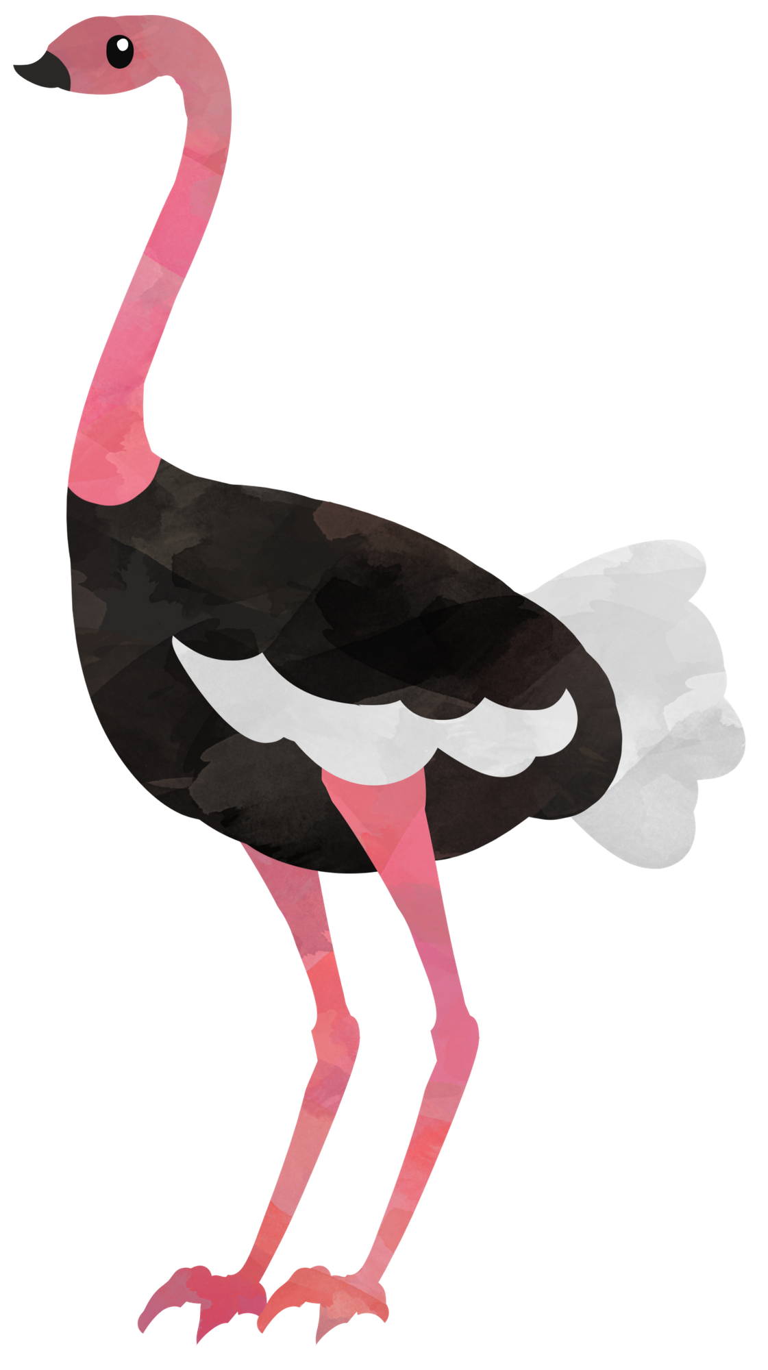 ZOO animals | Genially