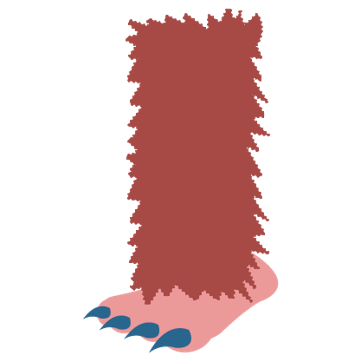 PARTES DEL CUERPO MONSTRUO | Genially