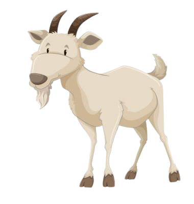 Animals dobble | Genially