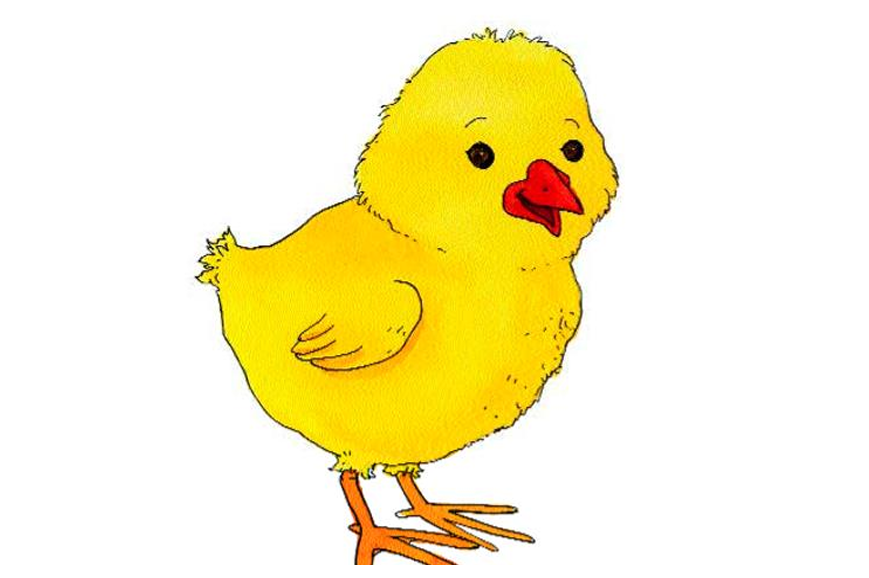 D, R, Sz, Ty, Cs | Genially