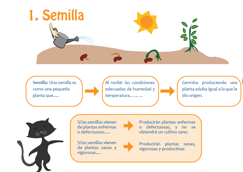 LA SEMILLA | Genially