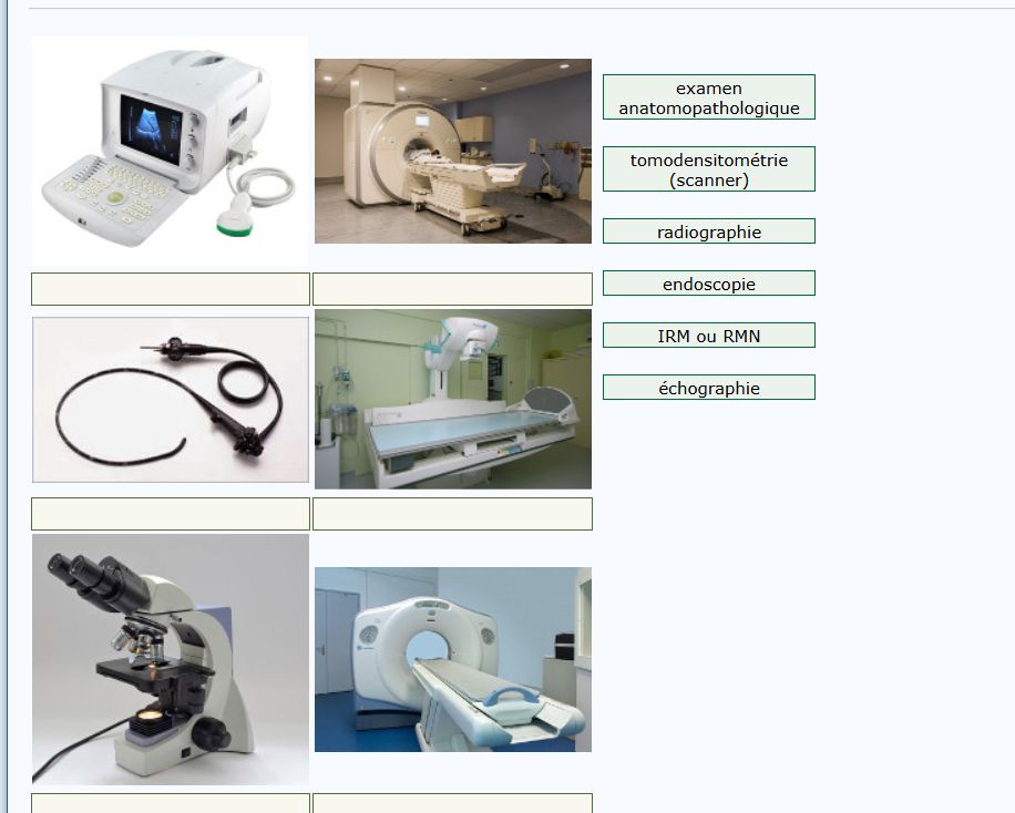 techniques d'imagerie médicale | Genially