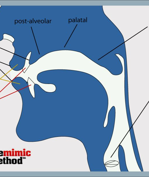 Consonants Sounds | Genially