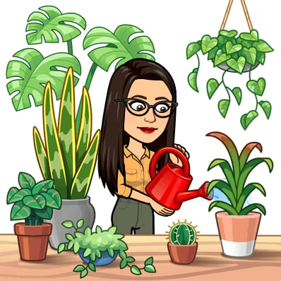 Unit 2 My Garden | Genially