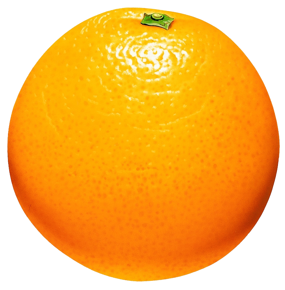 REALIZAMOS SUMAS | Genially