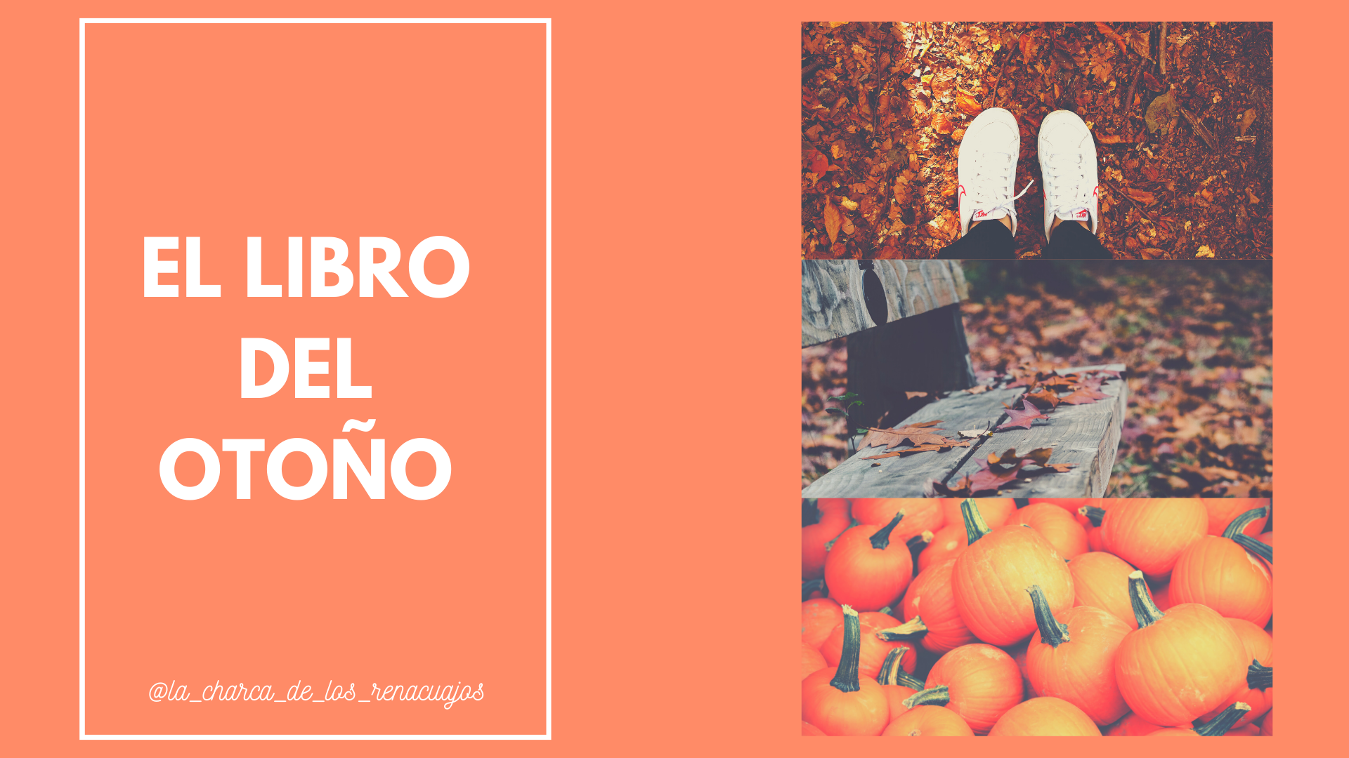 EL LIBRO DEL OTOÑO