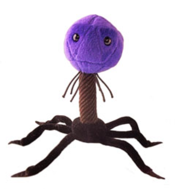 Bakteriofagi | Genially