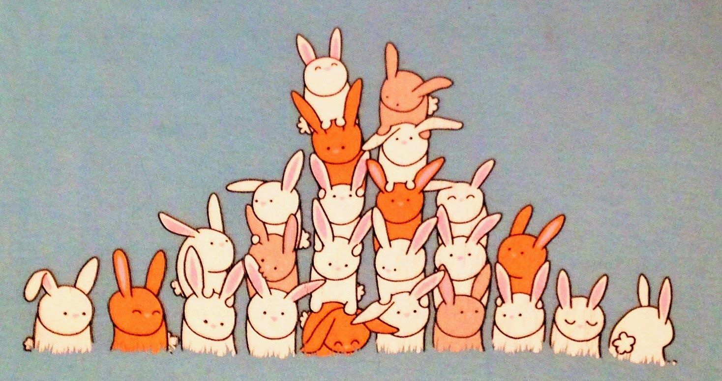 FIBONACCI_Enigma_conigli