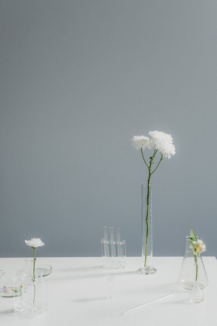 Elisa 2025 | Genially