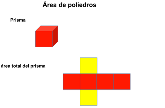 Partes de los poliedros