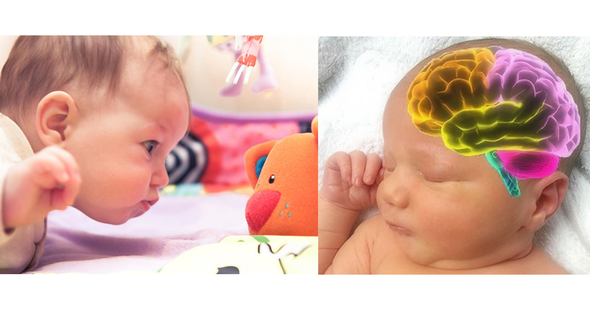 PLASTICIDAD CEREBRAL | Genially