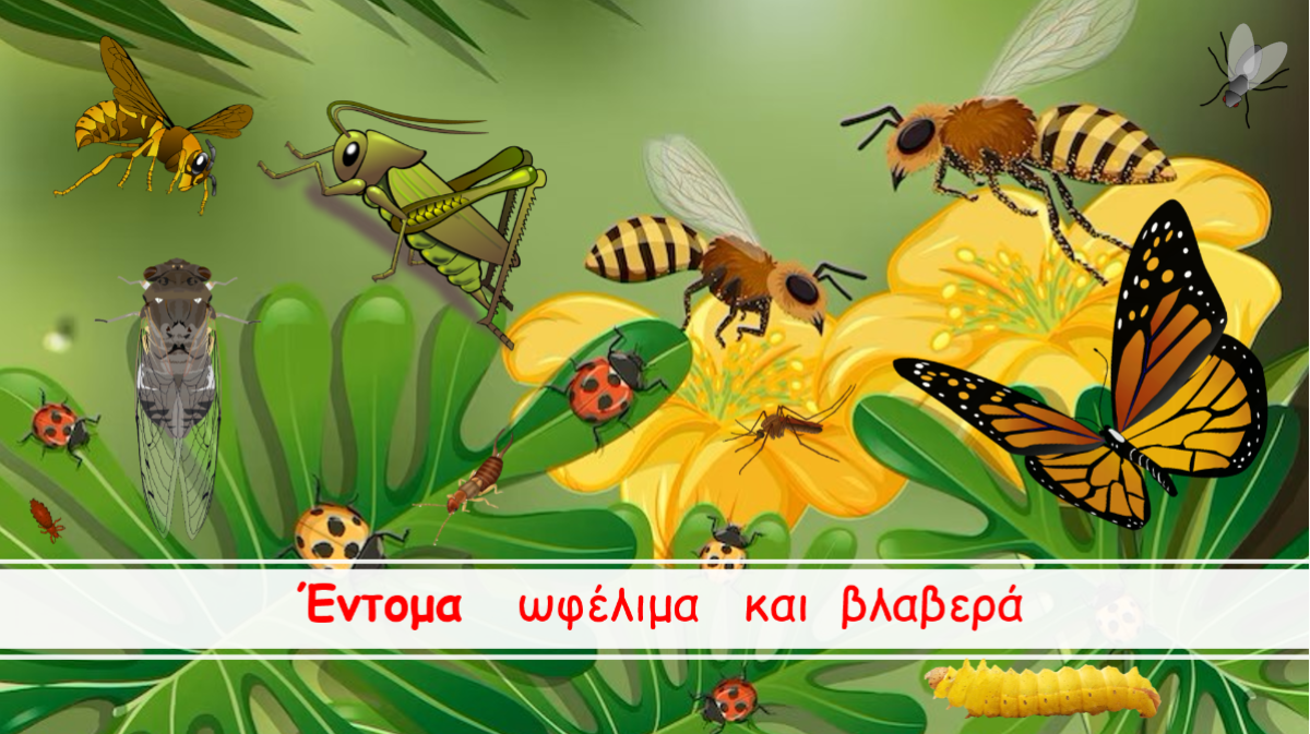 Έντομα ωφέλιμα και βλαβερά | Genially