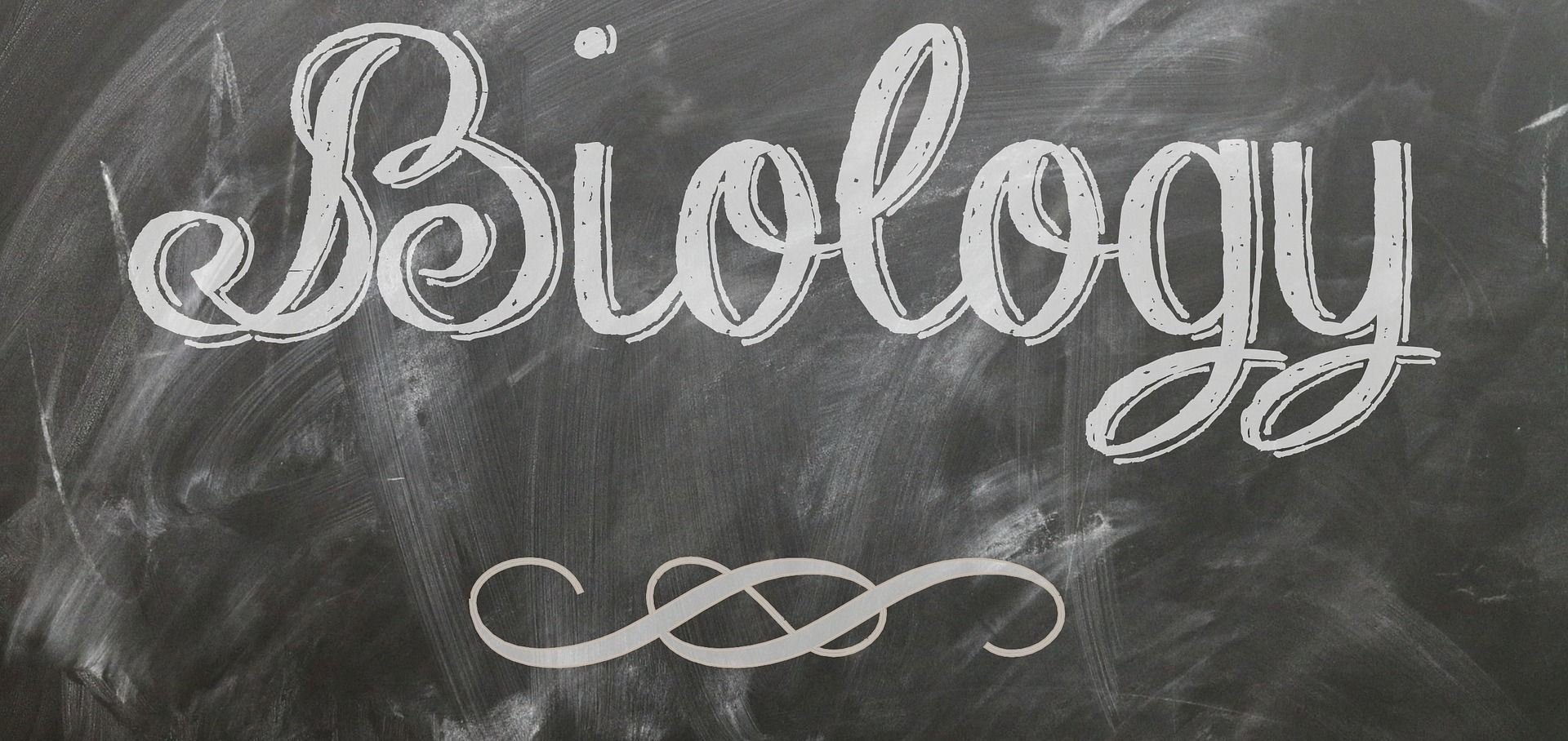 expressing plans, intentions- funkcje językowe | Genially