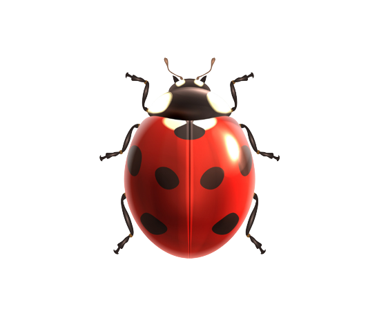 Mini beast song | Genially