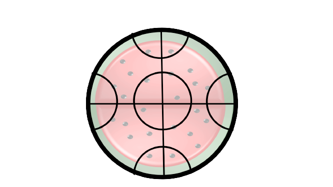 Generic 25 - Watermelon chess | Genially