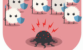 PRAE project | Genially